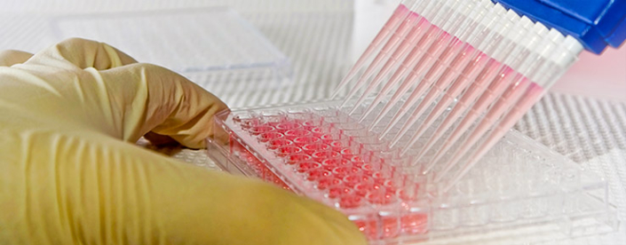 lab-hands-pipette-738w - Gliknik